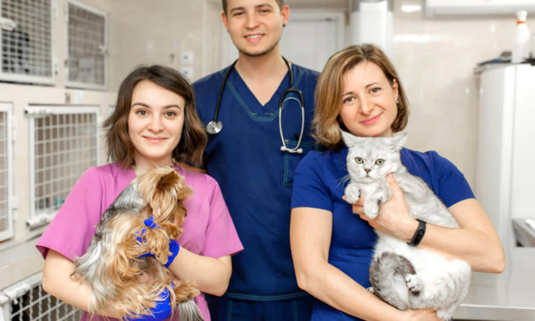 Complete Veterinary Program Prerequisites Bundle (all vet titles ...